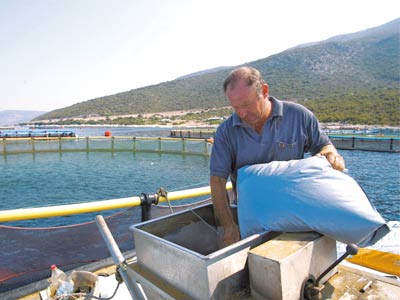 Ενέργεια τώρα και από τη γη - Ecotec