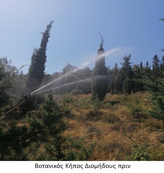Εργασίες καθαρισμού στα δάση-Συντήρηση δασικών δρόμων και αντιπυρικών ...