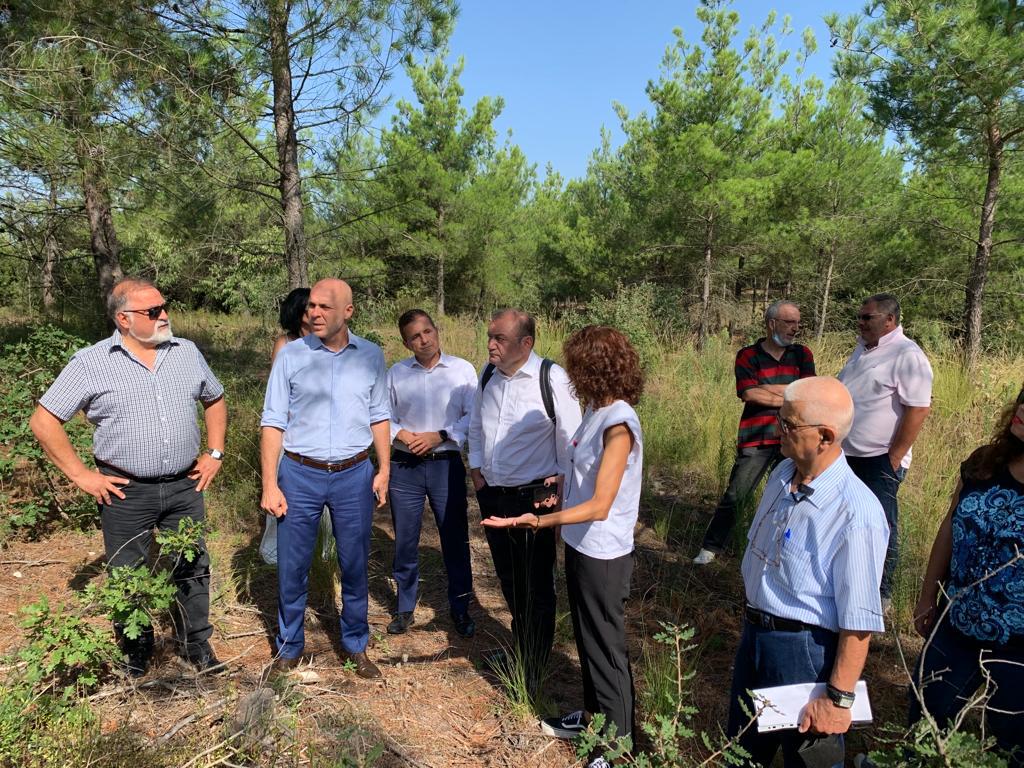 Γ. Αμυράς: «Αναδάσωση με 42.500 πλατύφυλλα στο Σέιχ Σου» - Ecotec