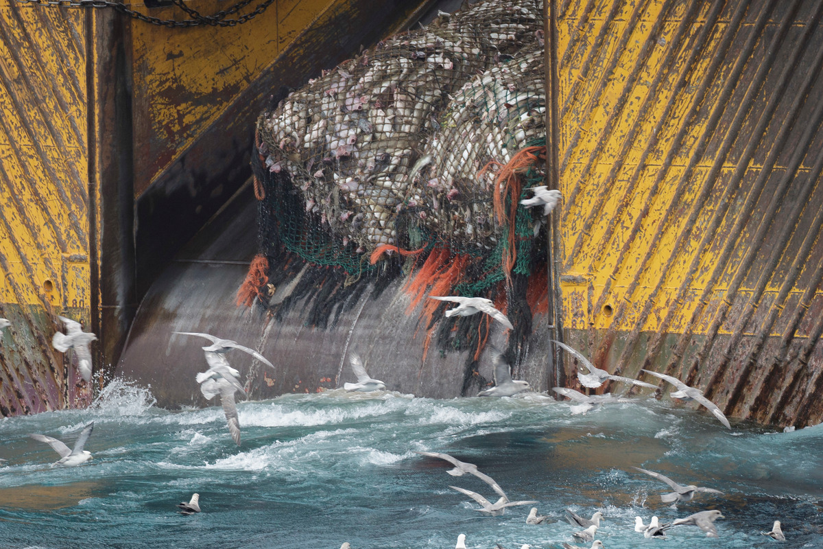 Greenpeace: Καλεί σε συναγερμό την παγκόσμια κοινότητα για τους ...